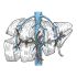 Liver Surgery Hepatectomy – Liver resection – Partial hepatectomy