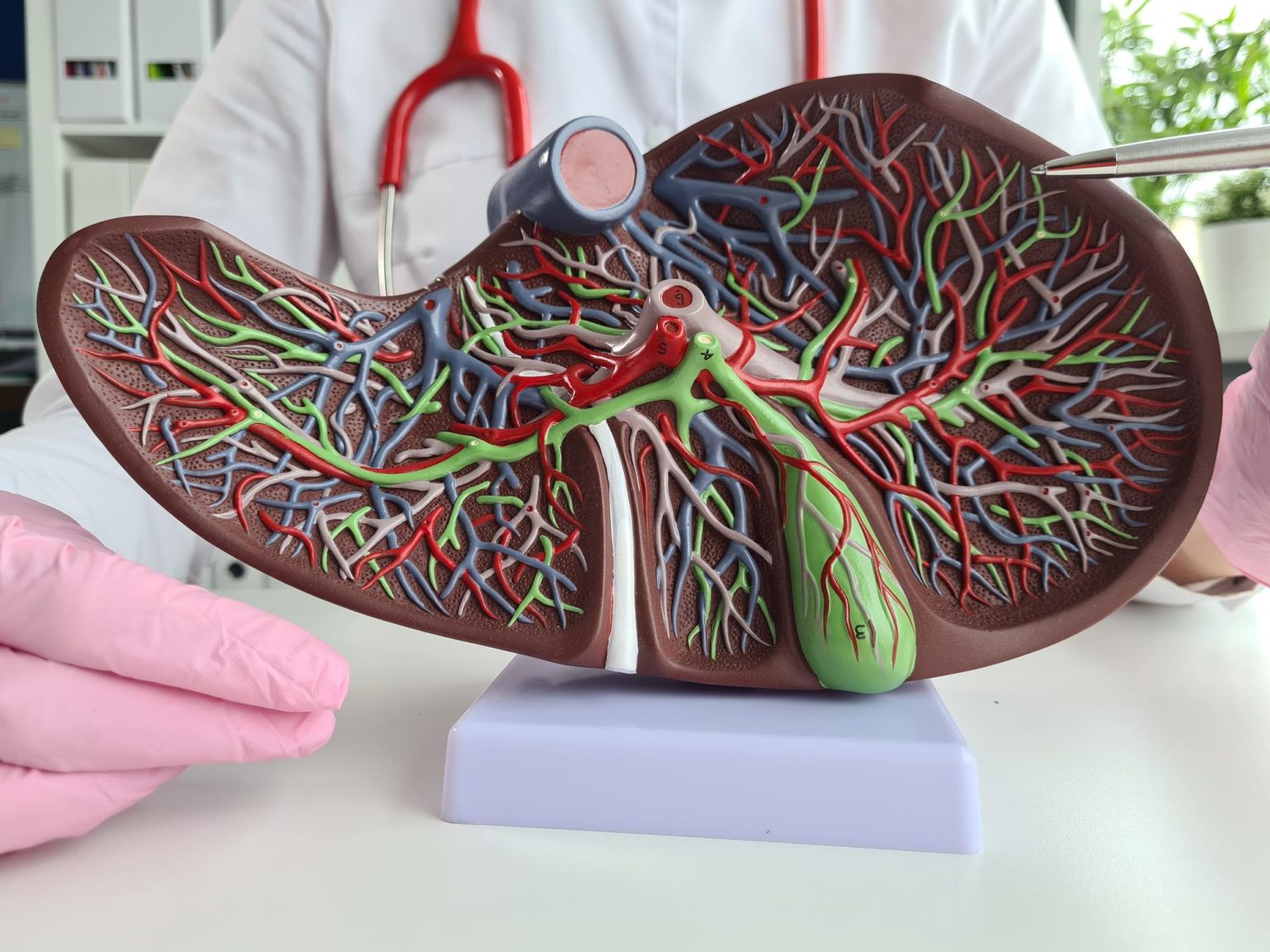 Liver Surgery Archives - Surgery NZ